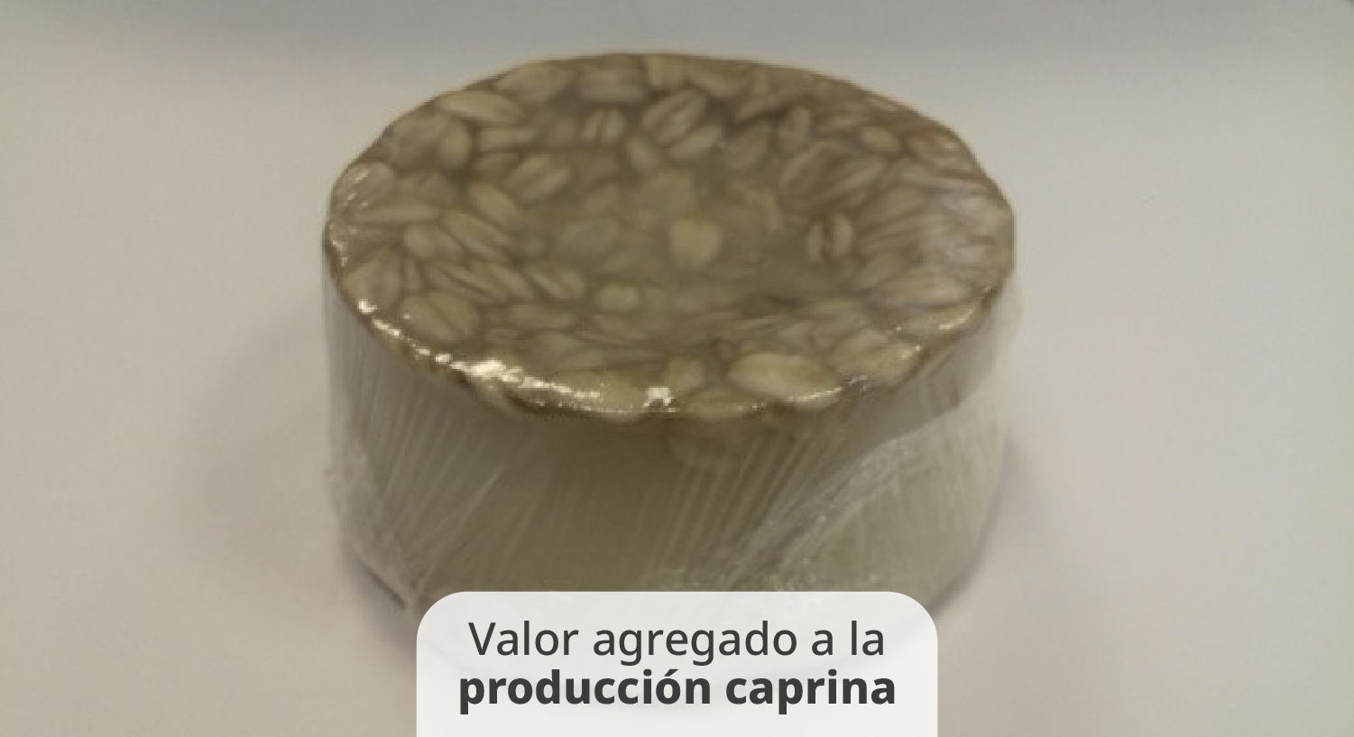 Elaboración de jabón artesanal con leche de cabra - Tierra Fuerte