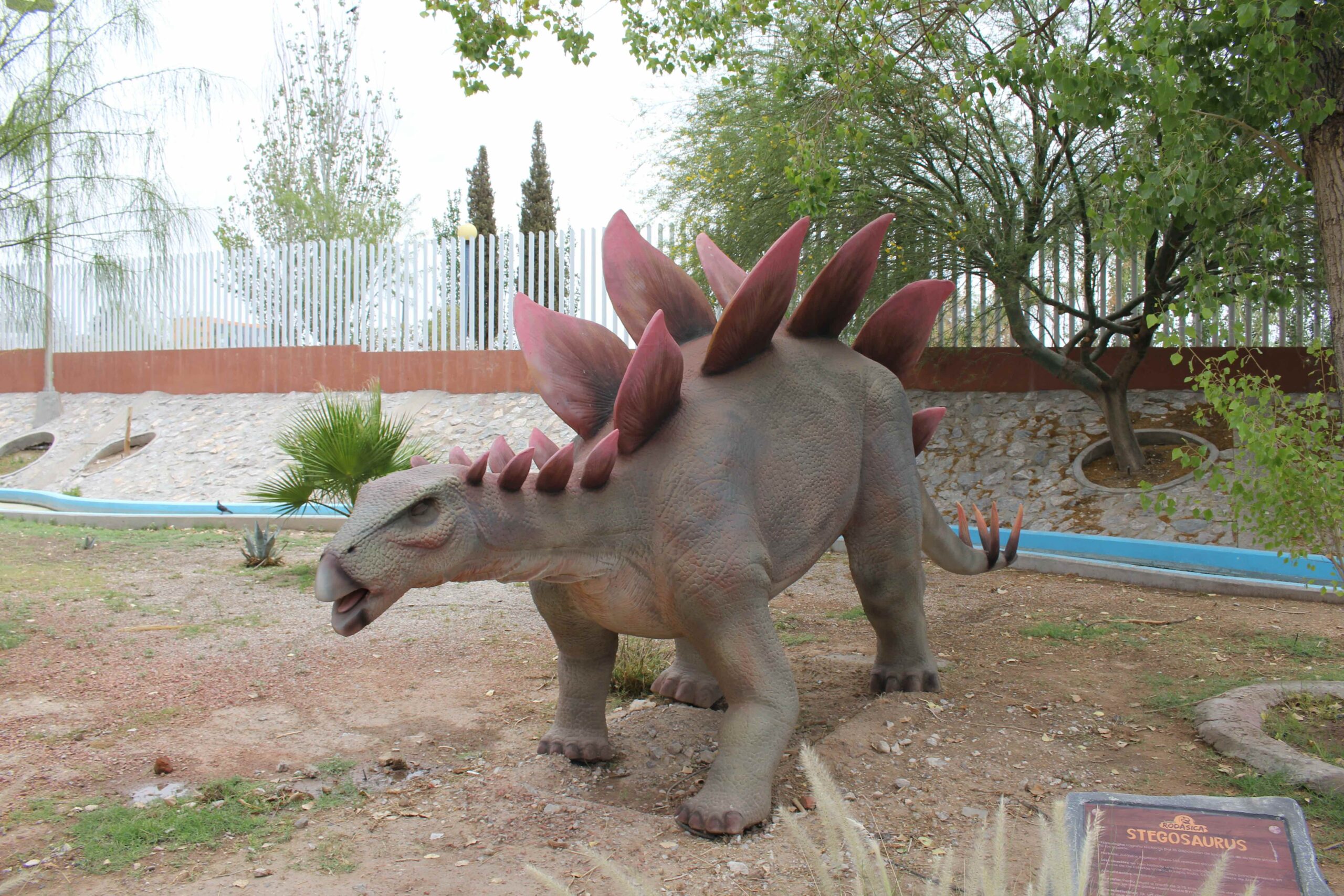 Museo La Rodadora: espacio de esparcimiento para chicos y grandes en ...
