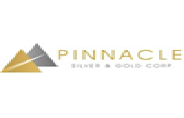Pinnacle Silver and Gold identifica nuevos blancos de exploración en El ...